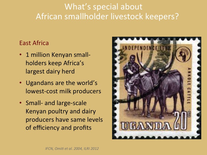 African animal agriculture: Grasping opportunities as a great livestock ...