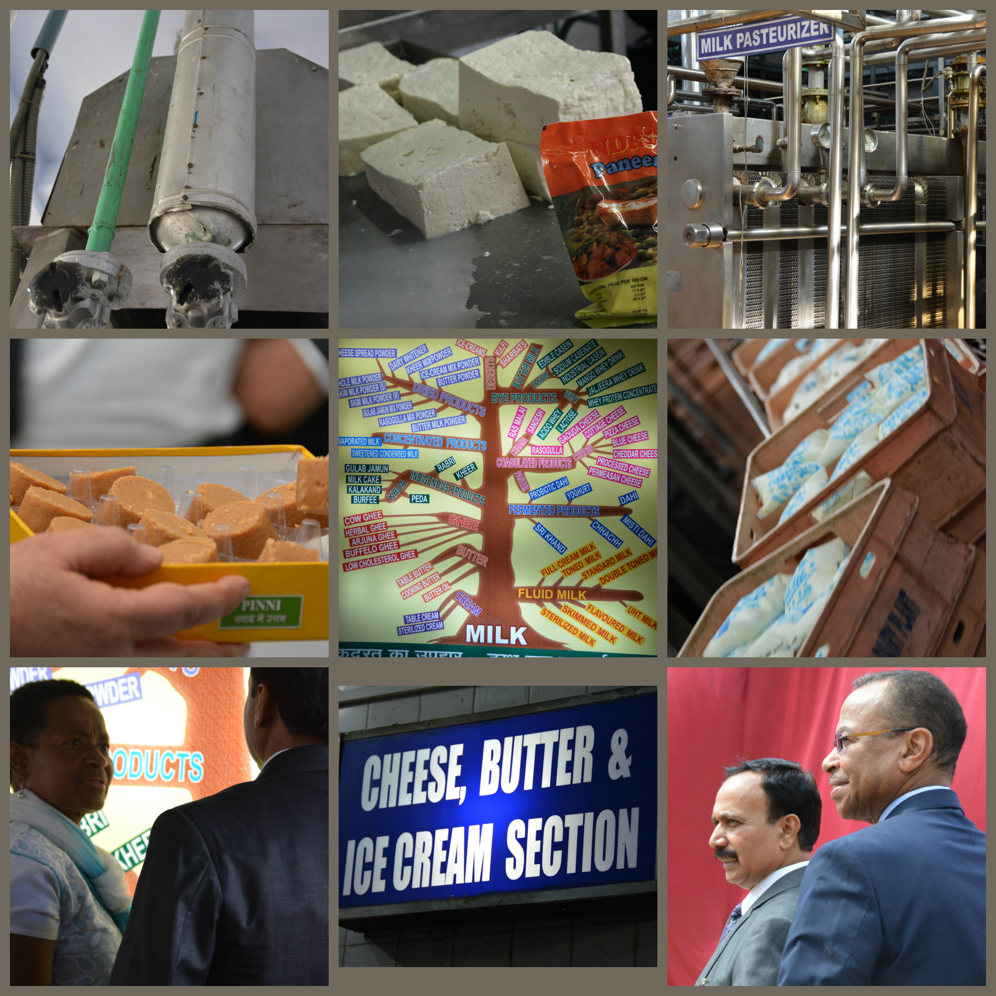 Elite buffaloes and other exemplars of advanced Indian dairy science at ...