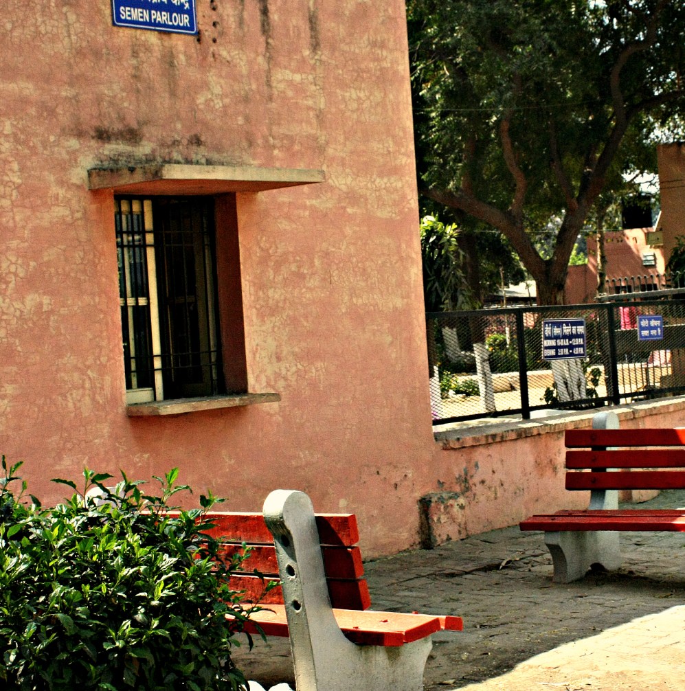 Elite buffaloes and other exemplars of advanced Indian dairy science at ...