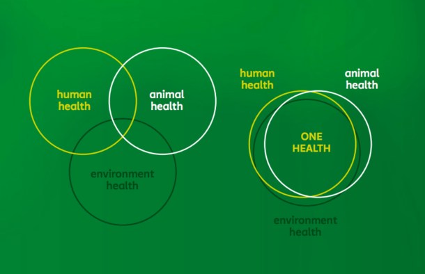 Apocalyptic numbers: Antibiotic resistance as the classic ‘One Health ...