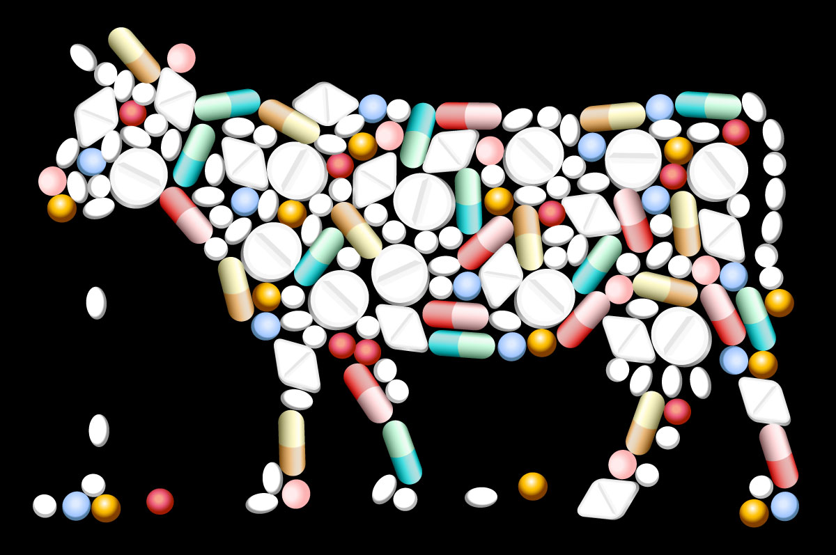 Reducing use of antimicrobial drugs in livestock in low-income ...