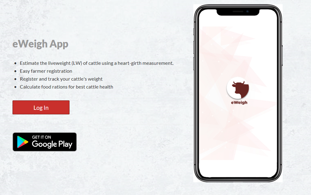 Ilri Eweigh Mobile Phone App To Help Farmers Accurately Estimate Live