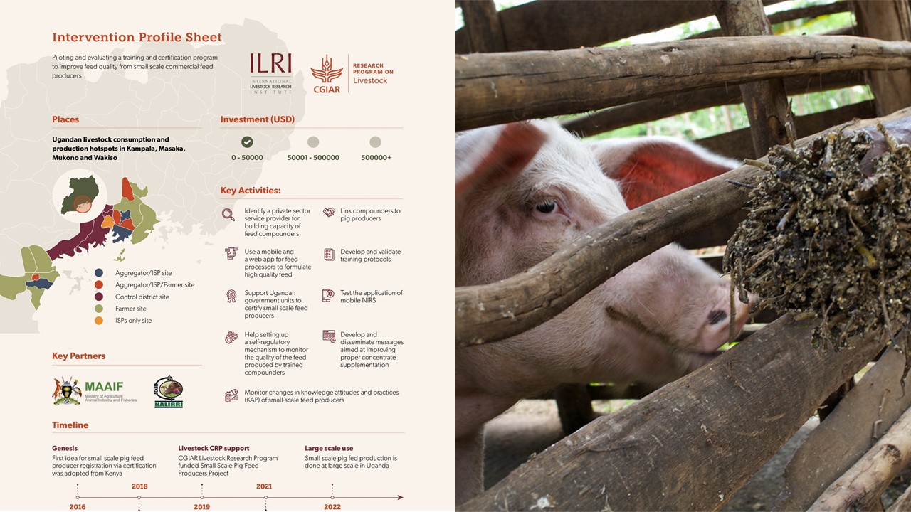 From framework to implementation: ILRI Impact at Scale program ...
